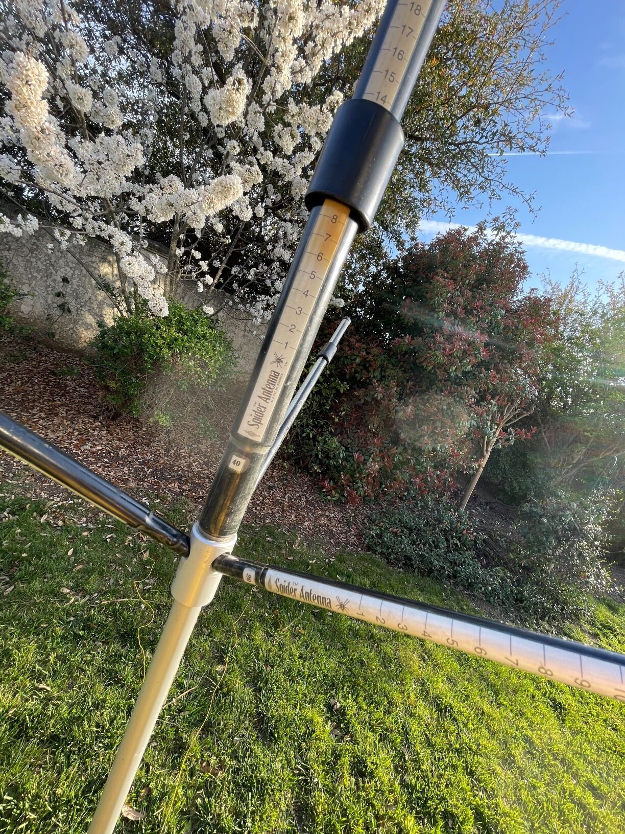 Spider Antenna – Circa 1985 – After The Net